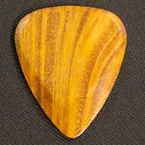 LIGNUM VITAE – BAHAMAS NATIONAL TREE | ROLLING HARBOUR ABACO