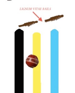 LIGNUM VITAE – BAHAMAS NATIONAL TREE | ROLLING HARBOUR ABACO