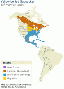 ROLLING HARBOUR ABACO | BIRDS, WILDLIFE & MORE ABACO, BAHAMAS