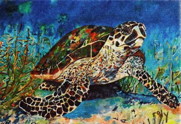 KIM RODY | ROLLING HARBOUR ABACO