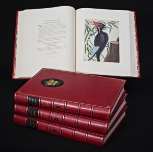 MARK CATESBY: PIONEERING NATURALIST OF EARLY c18 | ROLLING HARBOUR ABACO