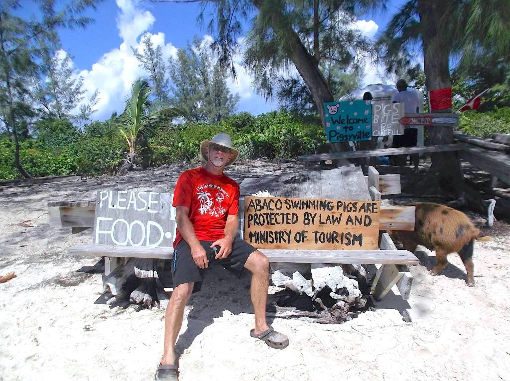 PIGGYVILLE: HOME OF THE SWIMMING PIGS OF ABACO | ROLLING HARBOUR ABACO