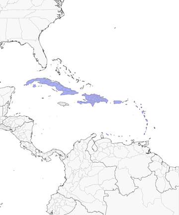 Scaly-naped Pigeon Range Map | ROLLING HARBOUR ABACO