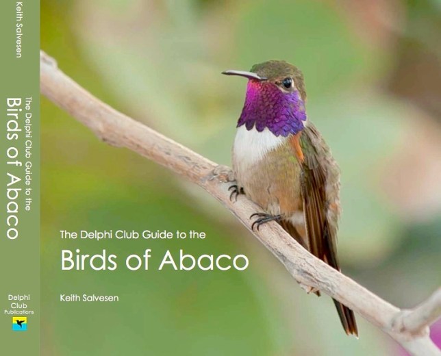 ROLLING HARBOUR ABACO | BIRDS, WILDLIFE & MORE ABACO, BAHAMAS